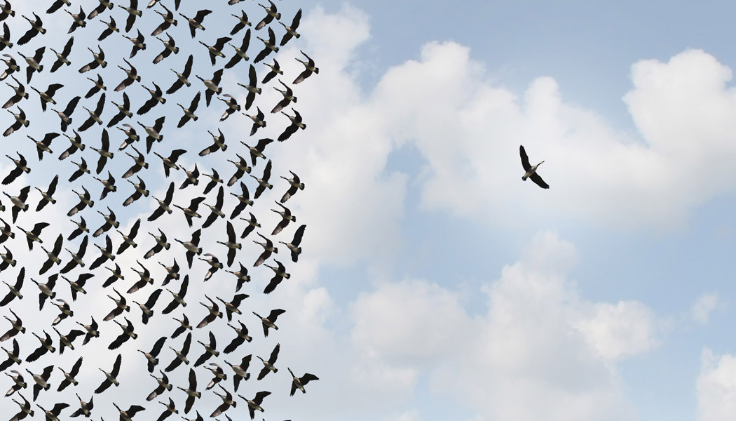 The best way to use bullet points – The Writing Habit